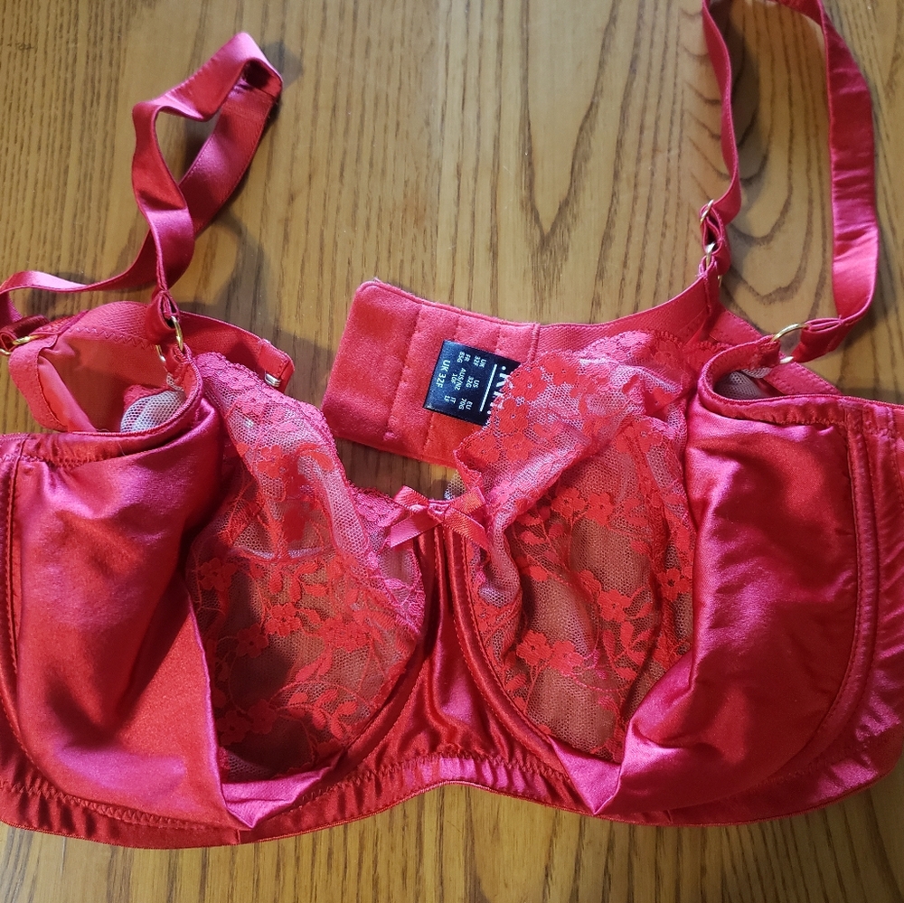 Katherine Hamilton Red Lace Underwire Bra 32f - Gem